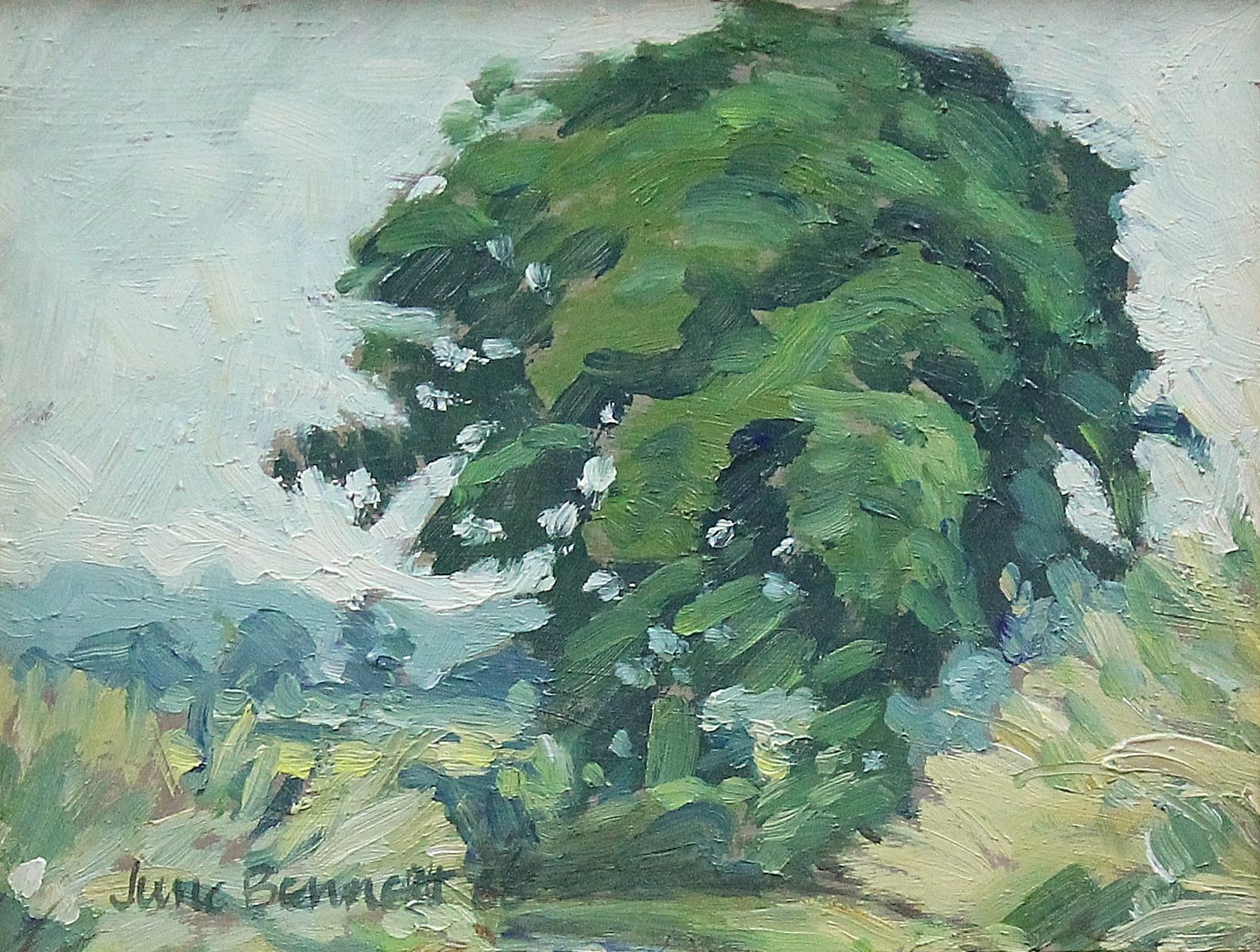 June Bennett - Tree Study